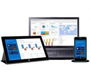 Navision - Microsoft Dynamics Nav - Prodigy Software